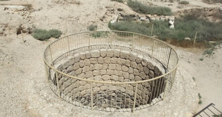 Tel Arad - Terralto